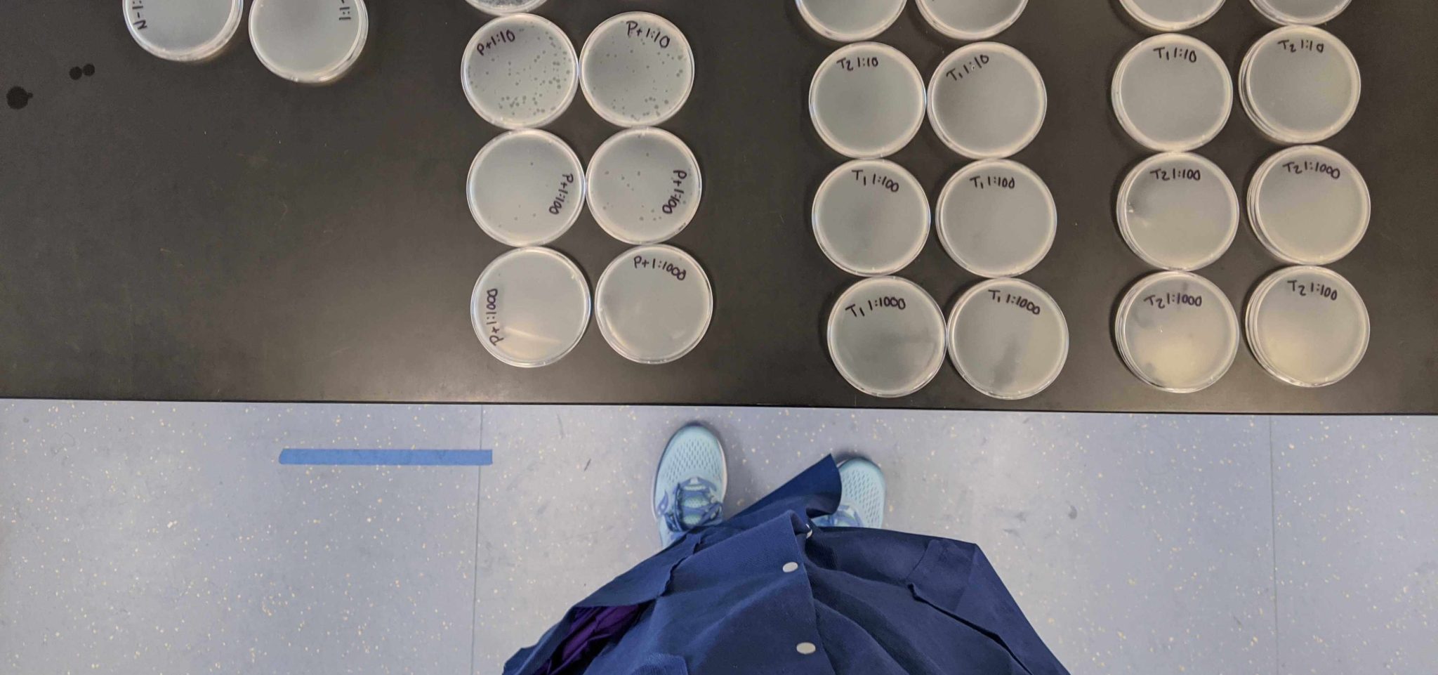 Technical Support - TURI