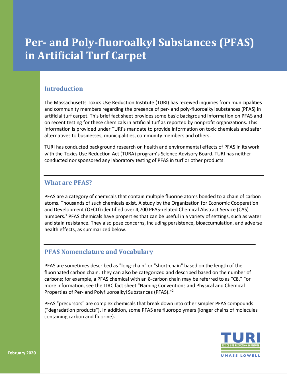 Artificial Turf - TURI